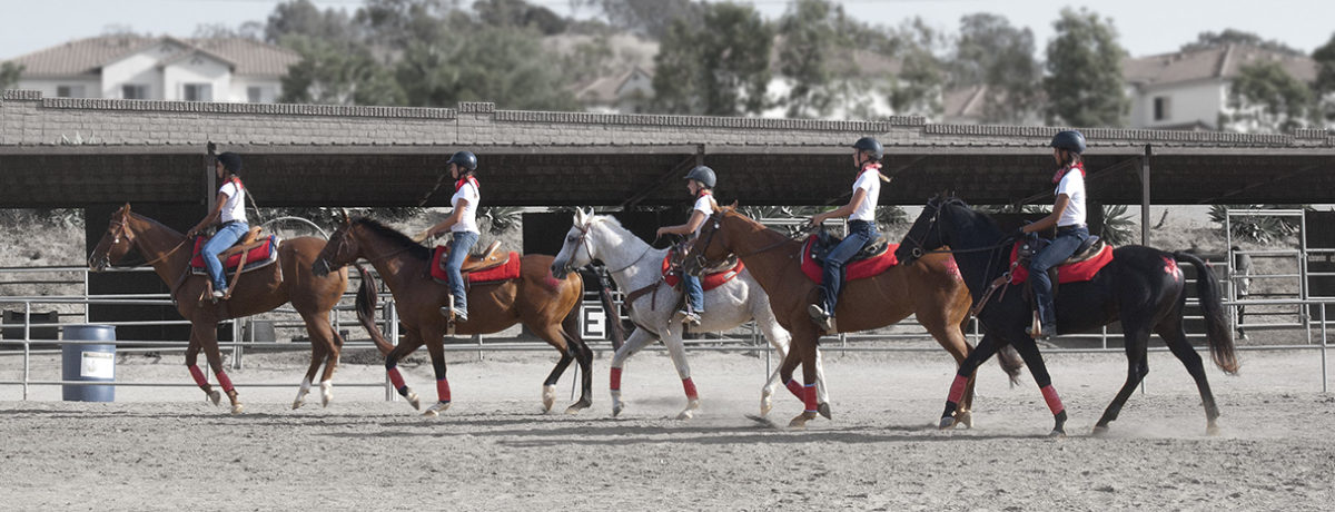 Ivey Ranch Park Association | 501 (c)(3) Non-Profit Organization in ...