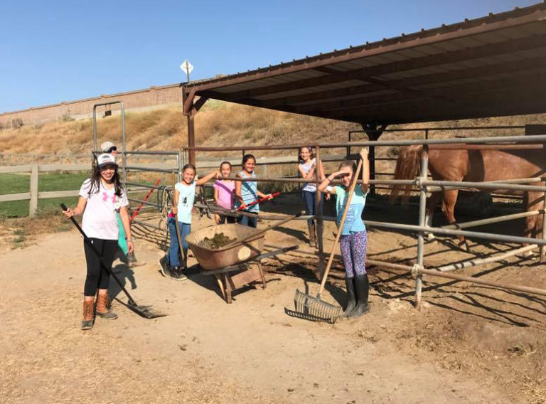 Scout Program - Ivey Ranch Park Association | 501(c)(3) Non-Profit ...