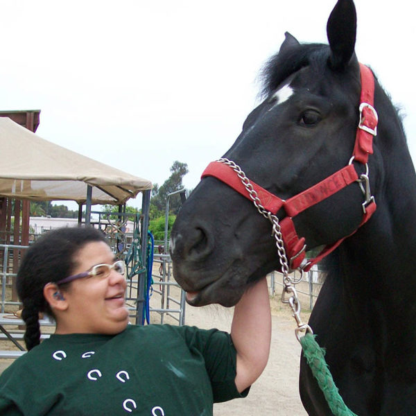 Equine Volunteers - Ivey Ranch Park Association | 501(c)(3) Non-Profit ...