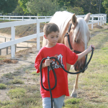 Ivey Ranch Park Association | 501 (c)(3) Non-Profit Organization in ...