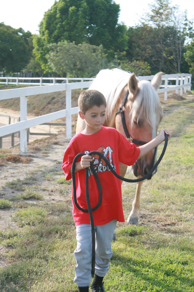 Equine Volunteers - Ivey Ranch Park Association | 501(c)(3) Non-Profit ...