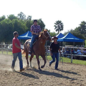 Therapeutic Riding - Ivey Ranch Park Association | 501(c)(3) Non-Profit ...