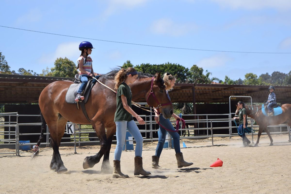 Internships - Ivey Ranch Park Association | 501(c)(3) Non-Profit ...