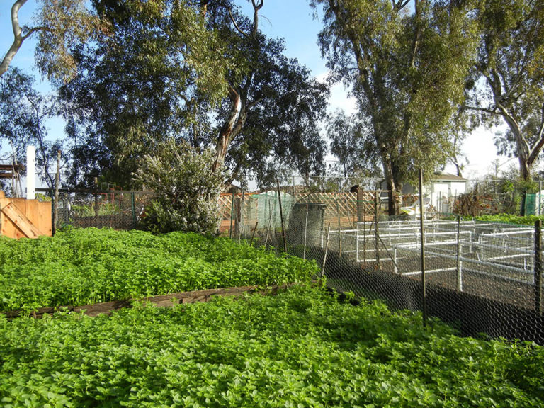 Gardens - Ivey Ranch Park Association | 501(c)(3) Non-Profit ...