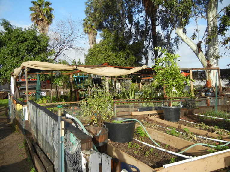 Gardens - Ivey Ranch Park Association | 501(c)(3) Non-Profit ...