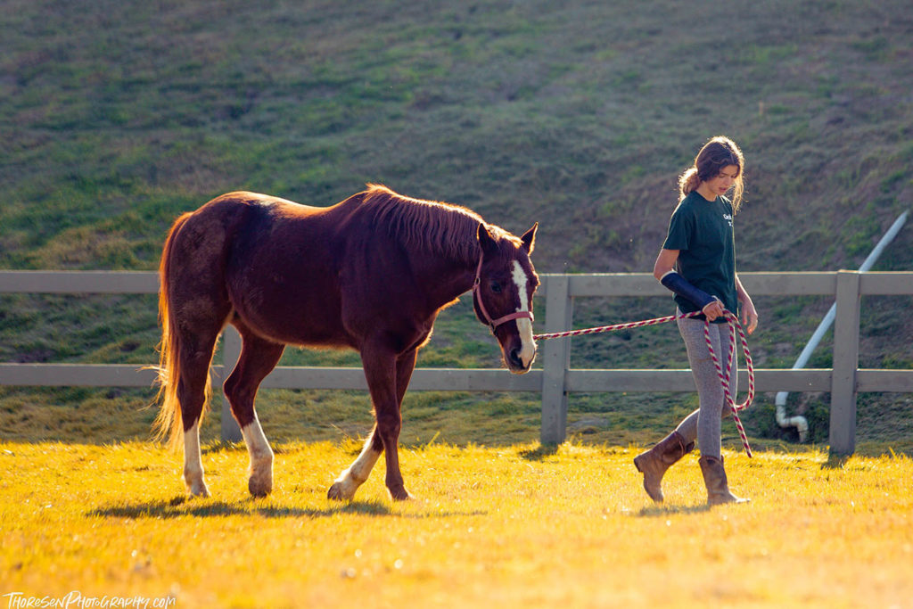 Events - Ivey Ranch Park Association | 501(c)(3) Non-Profit ...