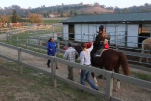 Internships - Ivey Ranch Park Association | 501(c)(3) Non-Profit ...