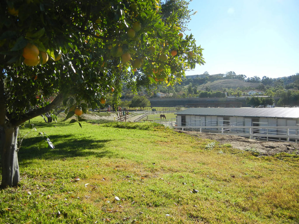 Facility - Ivey Ranch Park Association | 501(c)(3) Non-Profit ...