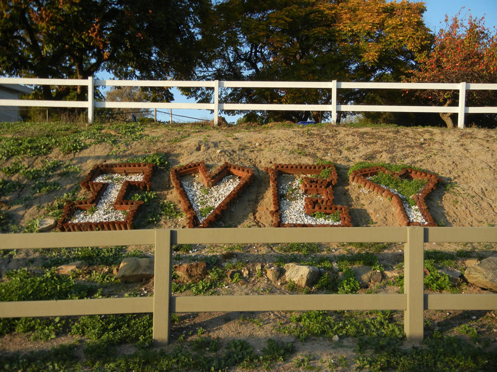 Facility - Ivey Ranch Park Association | 501(c)(3) Non-Profit ...