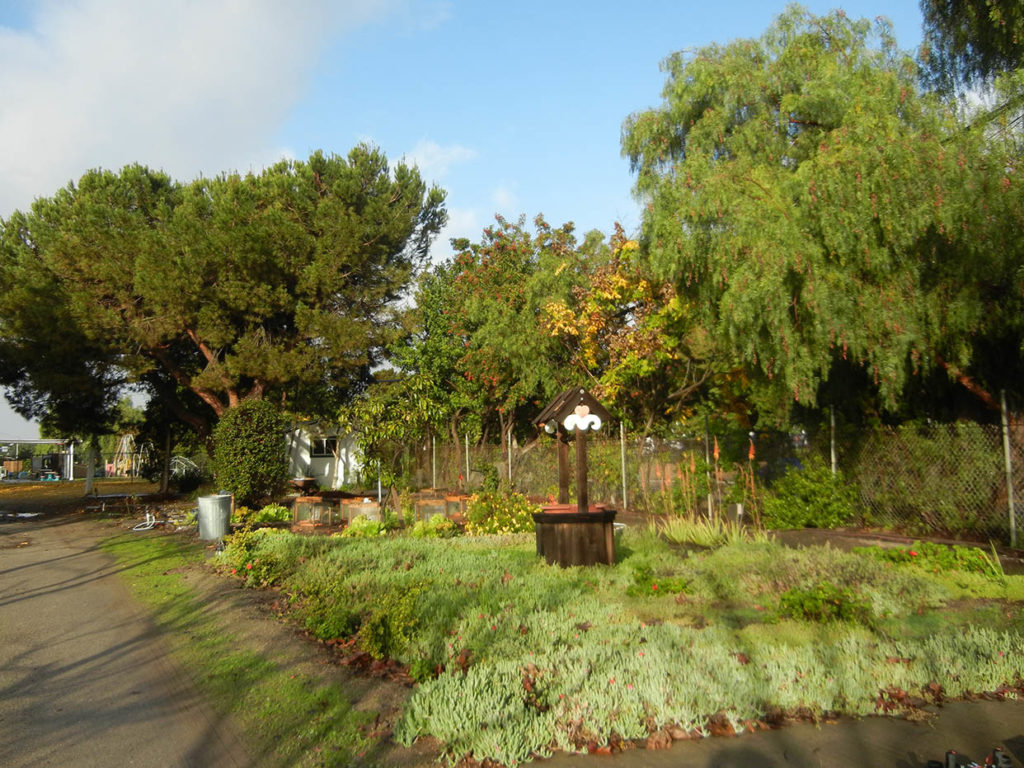 Facility - Ivey Ranch Park Association | 501(c)(3) Non-Profit ...