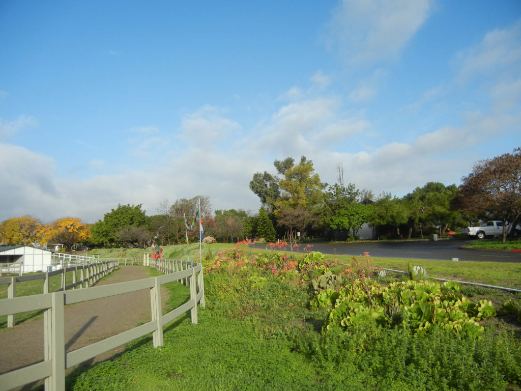 Facility - Ivey Ranch Park Association | 501(c)(3) Non-Profit ...