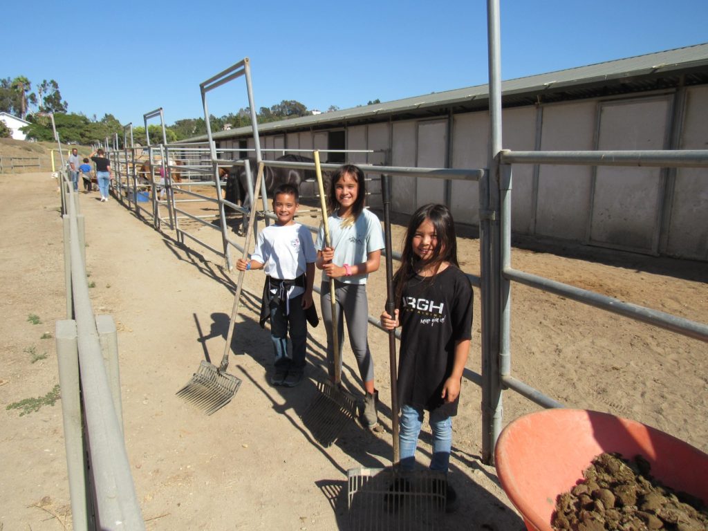 Equine Volunteers - Ivey Ranch Park Association | 501(c)(3) Non-Profit ...