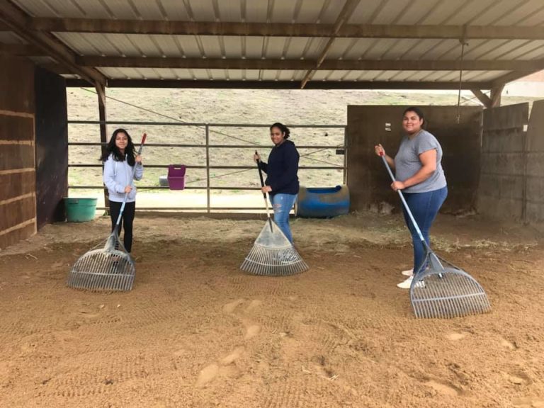 Equine Volunteers - Ivey Ranch Park Association | 501(c)(3) Non-Profit ...