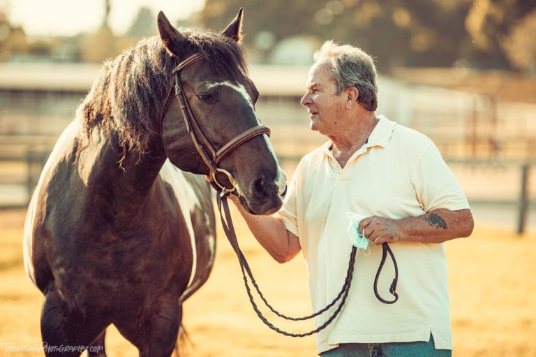 Our Horses - Ivey Ranch Park Association | 501(c)(3) Non-Profit ...