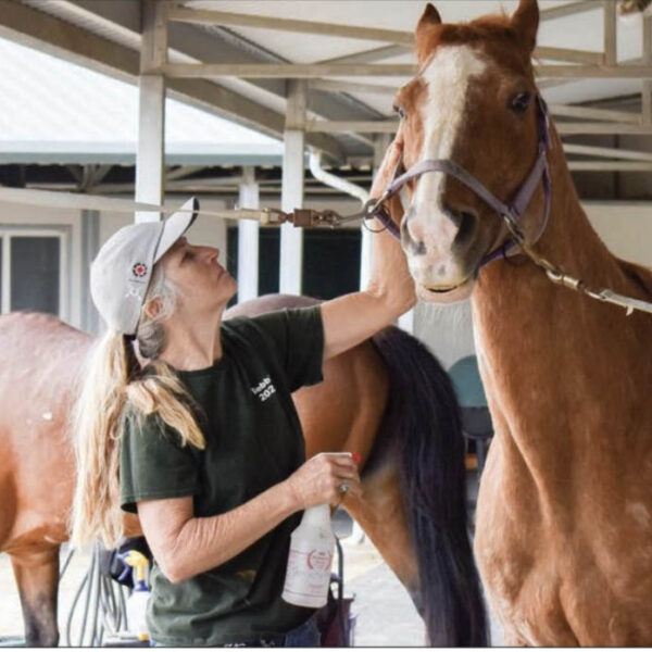 News - Ivey Ranch Park Association | 501(c)(3) Non-Profit Organization ...