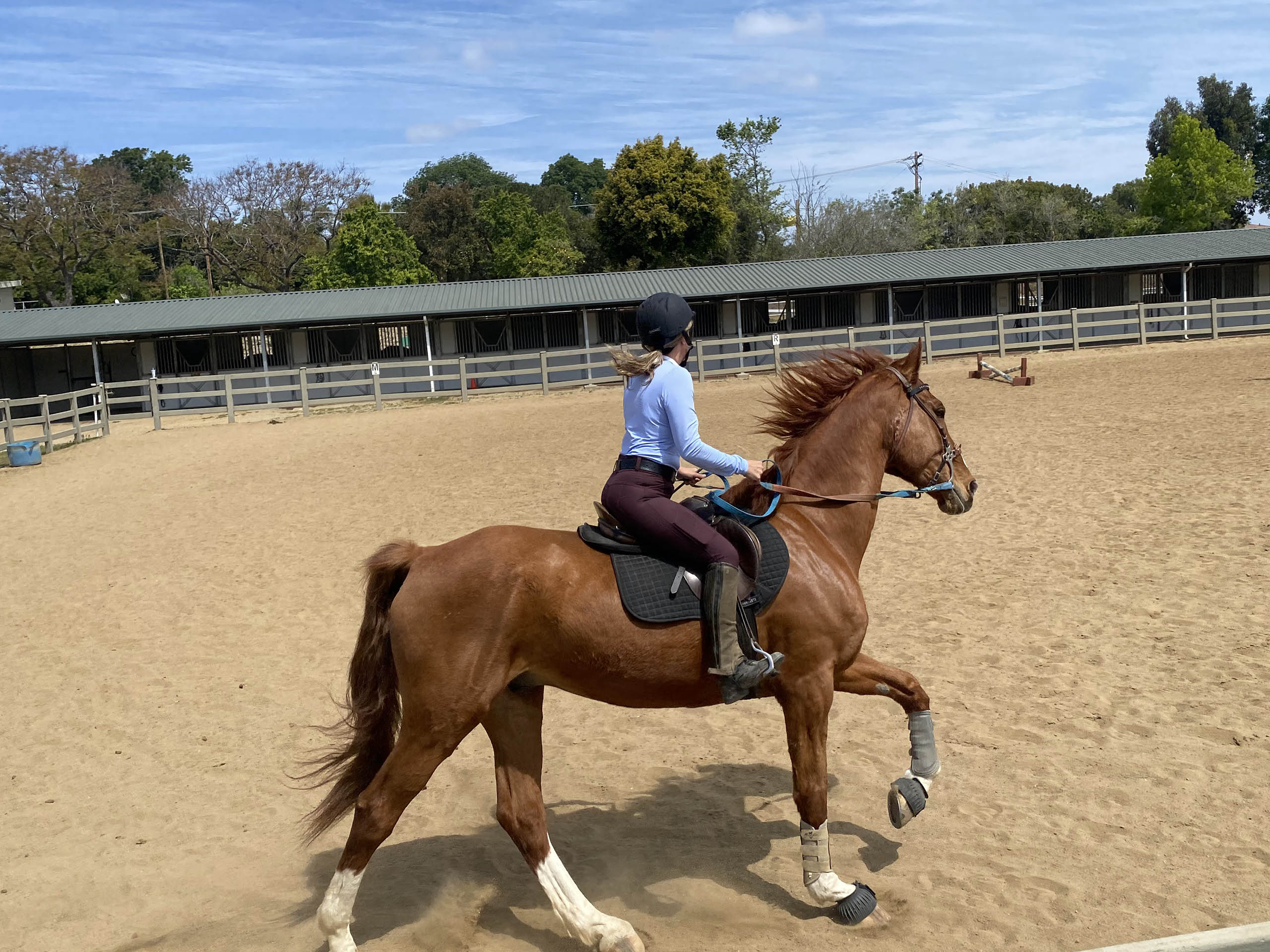 Ivey Ranch Park Association | 501 (c)(3) Non-Profit Organization in ...