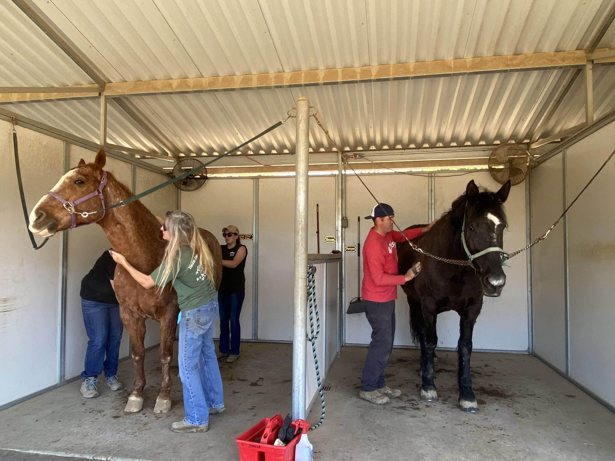 Ivey Ranch Park Association | 501 (c)(3) Non-Profit Organization in ...